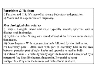 Classification and general-characters.pdf