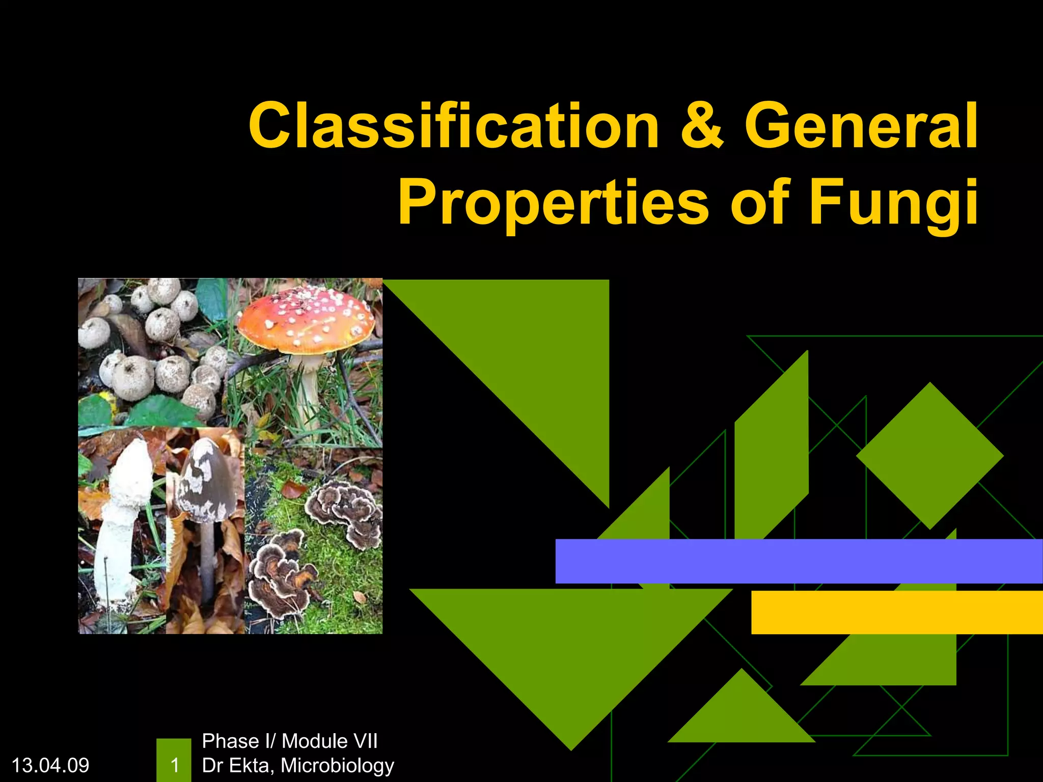 Classification & General Properties of Fungi.ppt