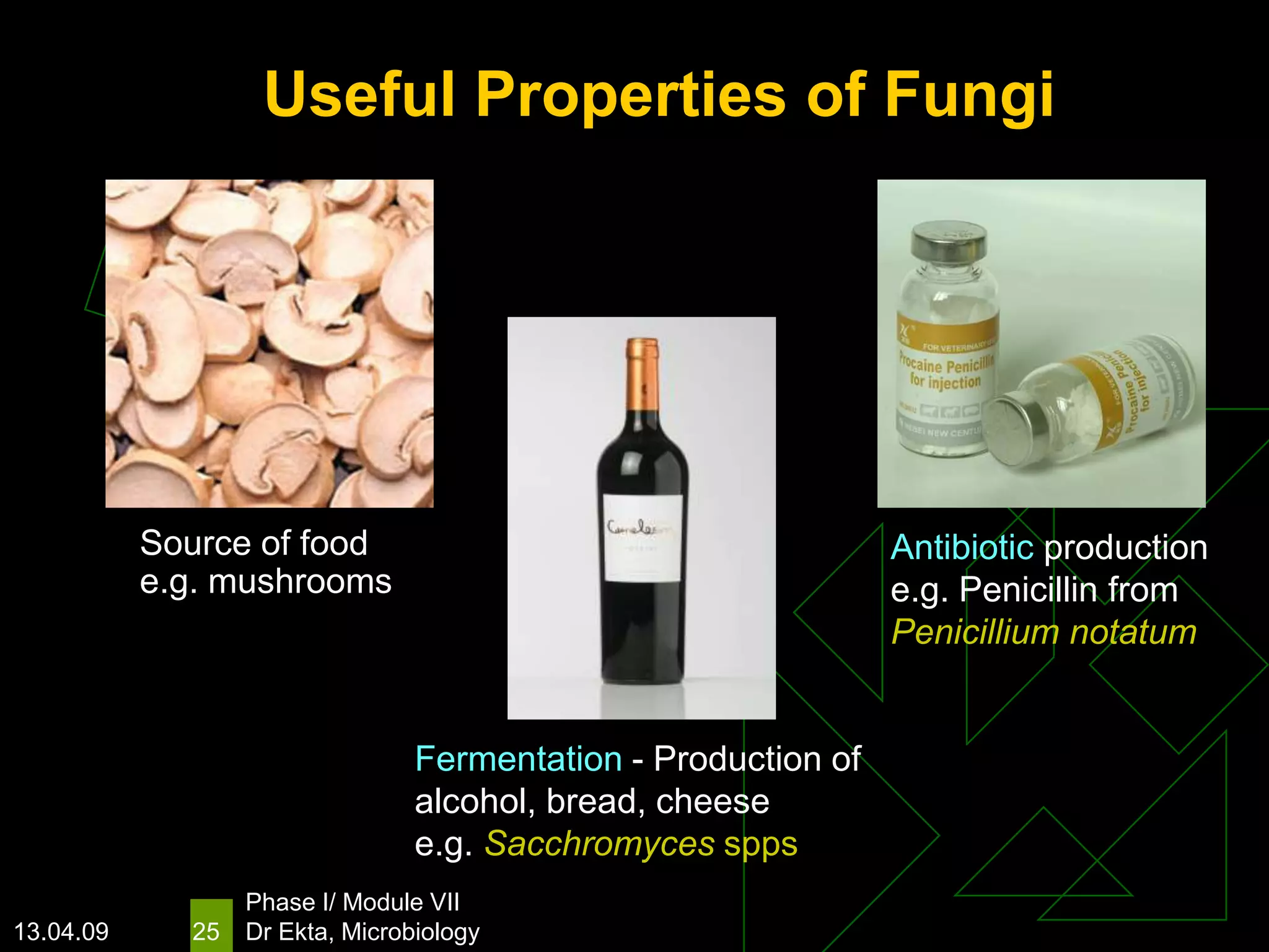 Classification & General Properties of Fungi.ppt