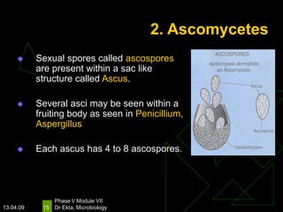 Classification & General Properties of Fungi.ppt