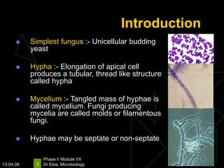 Classification & General Properties of Fungi.ppt