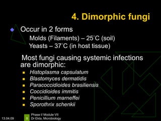 Classification & General Properties of Fungi.ppt