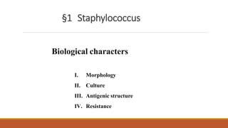 Classification & Gram + cocci, Staphylococci.pptx