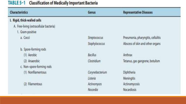 Classification & Gram + cocci, Staphylococci.pptx