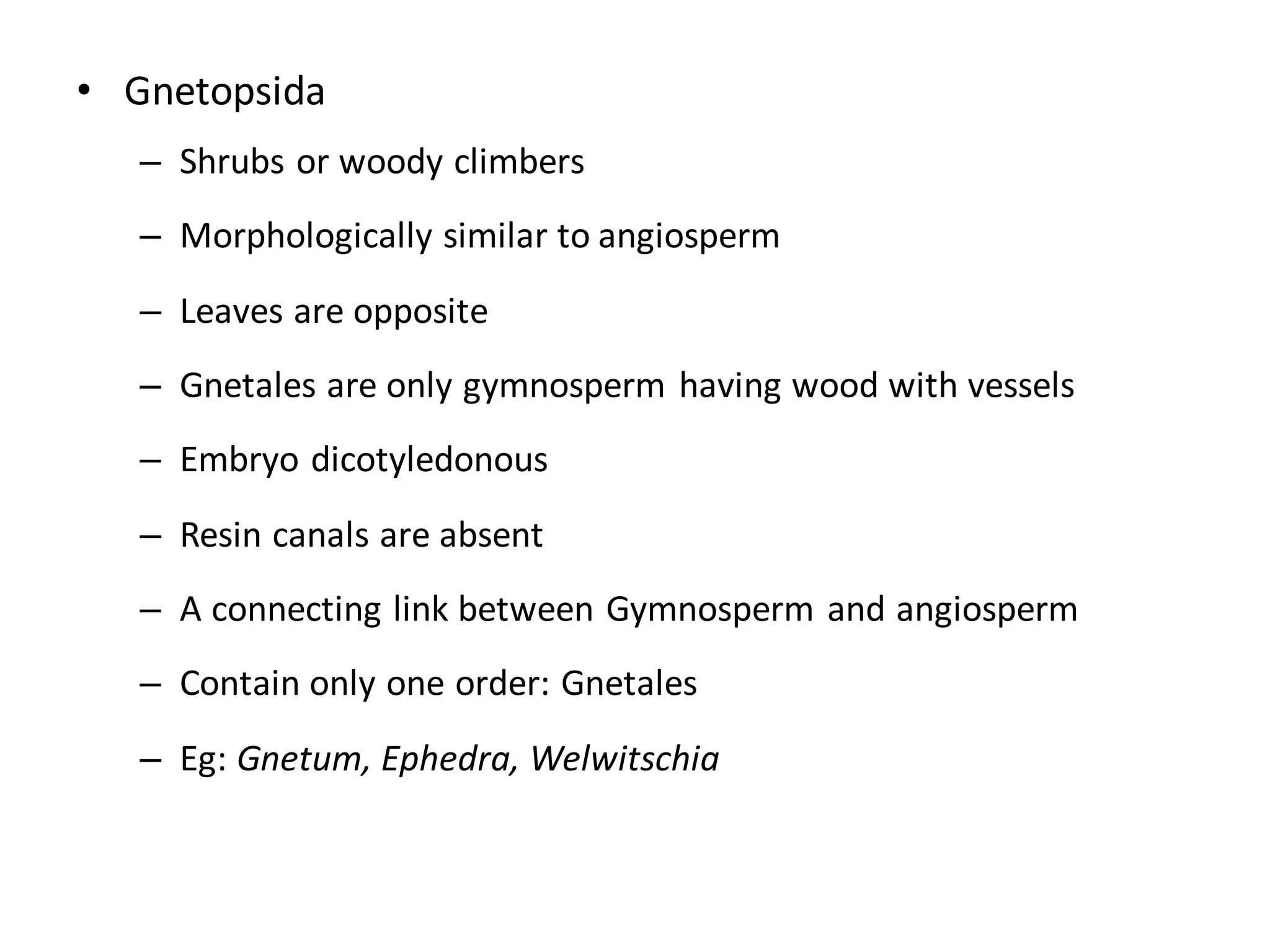 Classification gymnosperms.............pdf