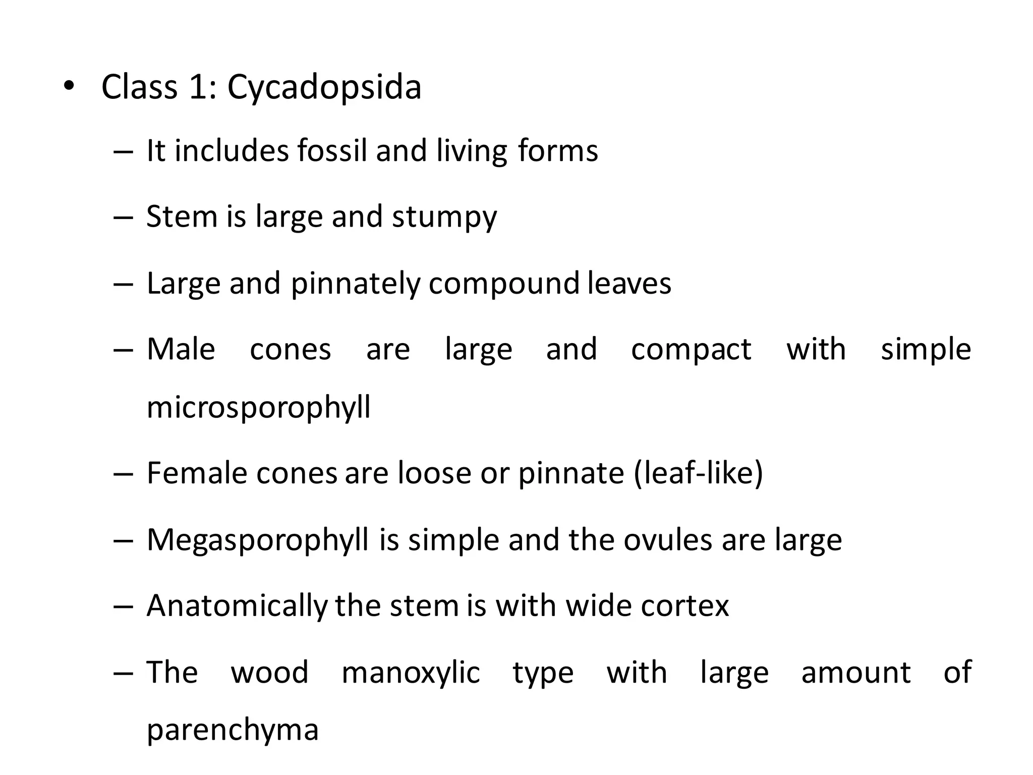Classification gymnosperms.............pdf