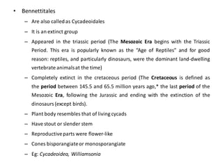 Classification gymnosperms.............pdf