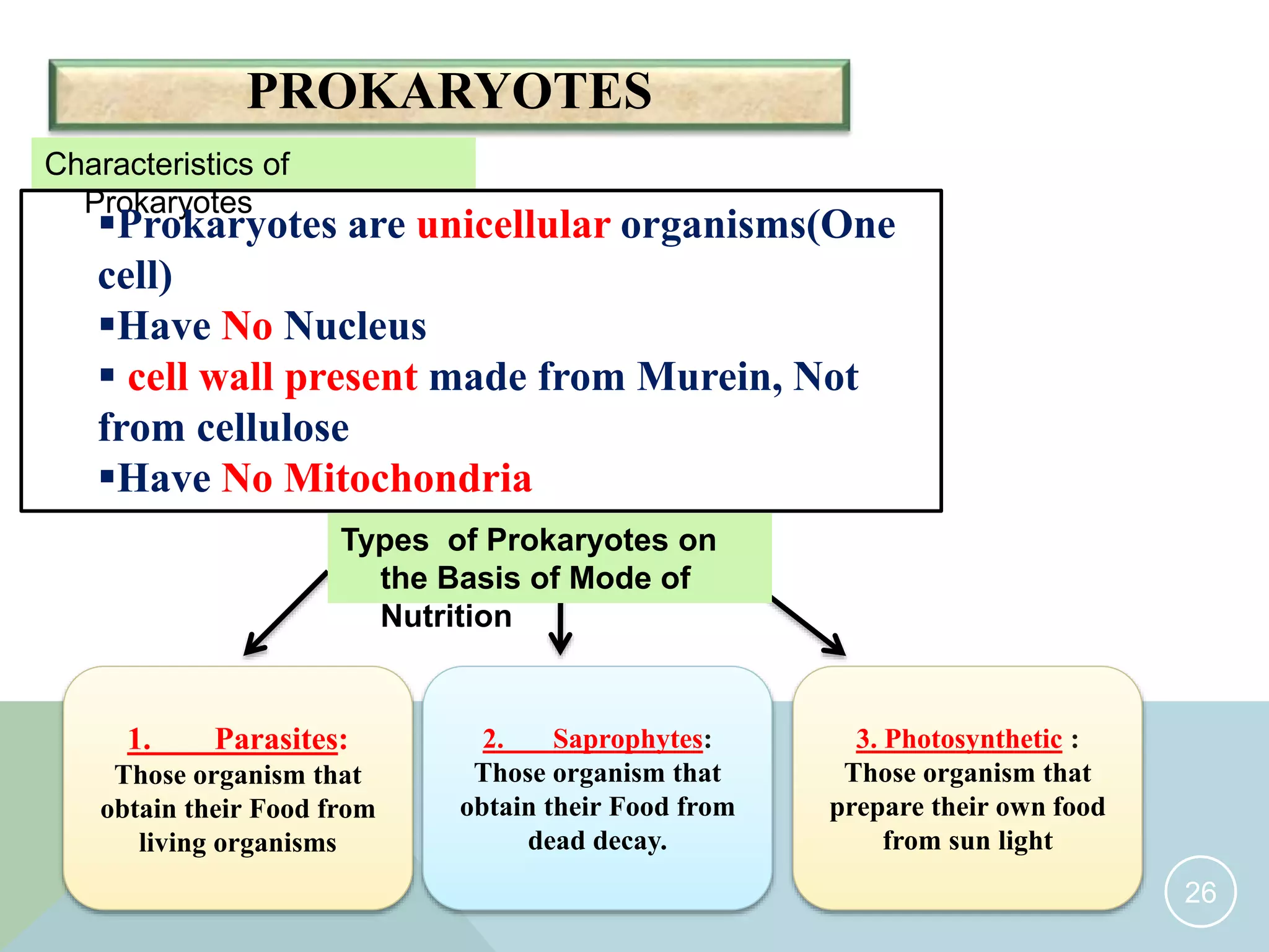 Classification of living organism. IGCSE O level biology | PPTX