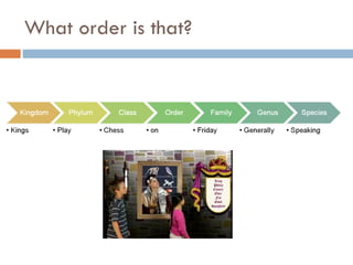 Classification including plants | PPT | Gardening | Home & Garden