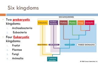 Classification including plants | PPT