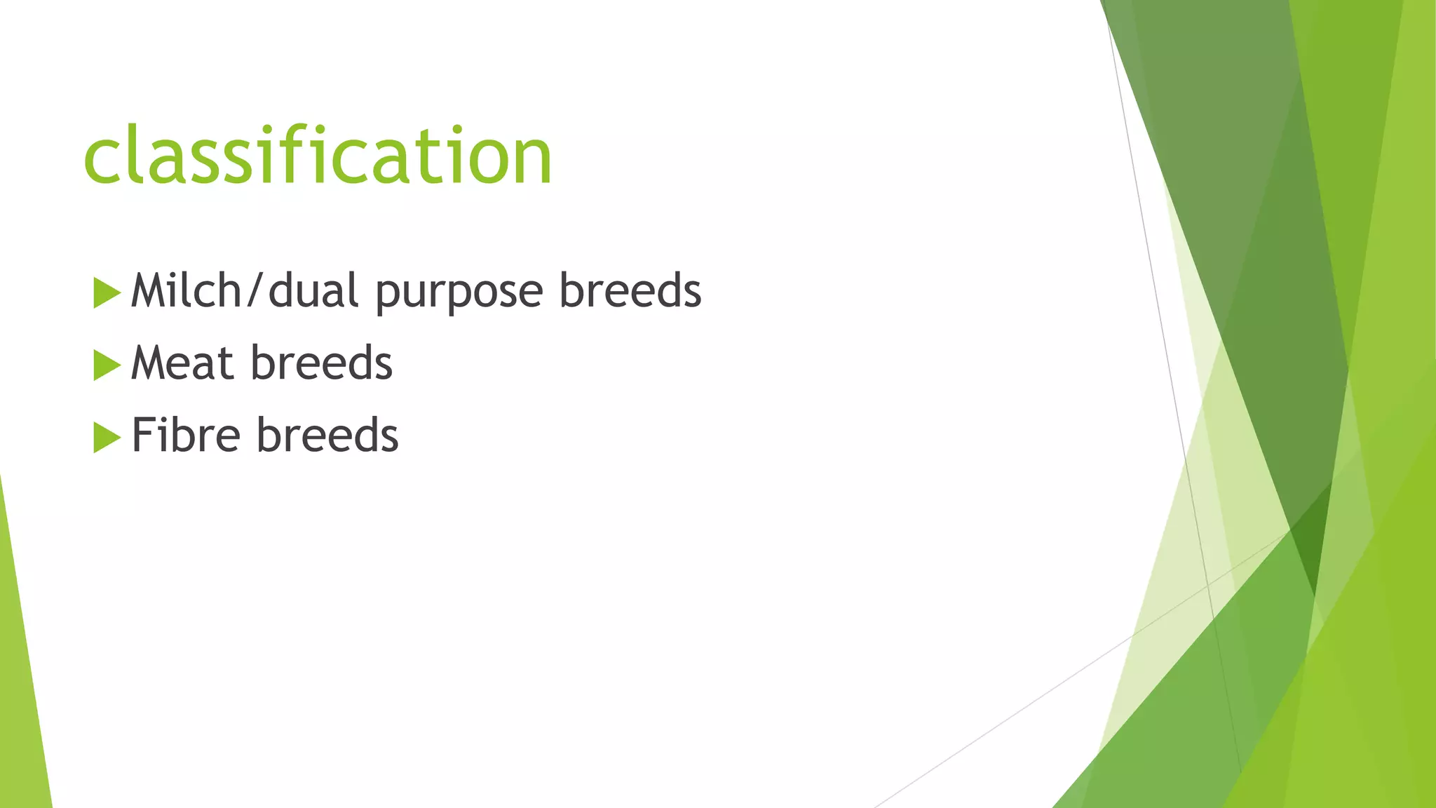 Classification indian goat_breeds | PPTX