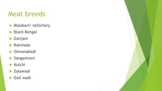 Classification indian goat_breeds | PPTX