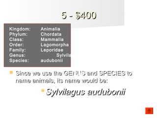 Classification Jeopardy Review | PPT