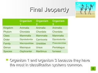 Classification Jeopardy Review | PPT