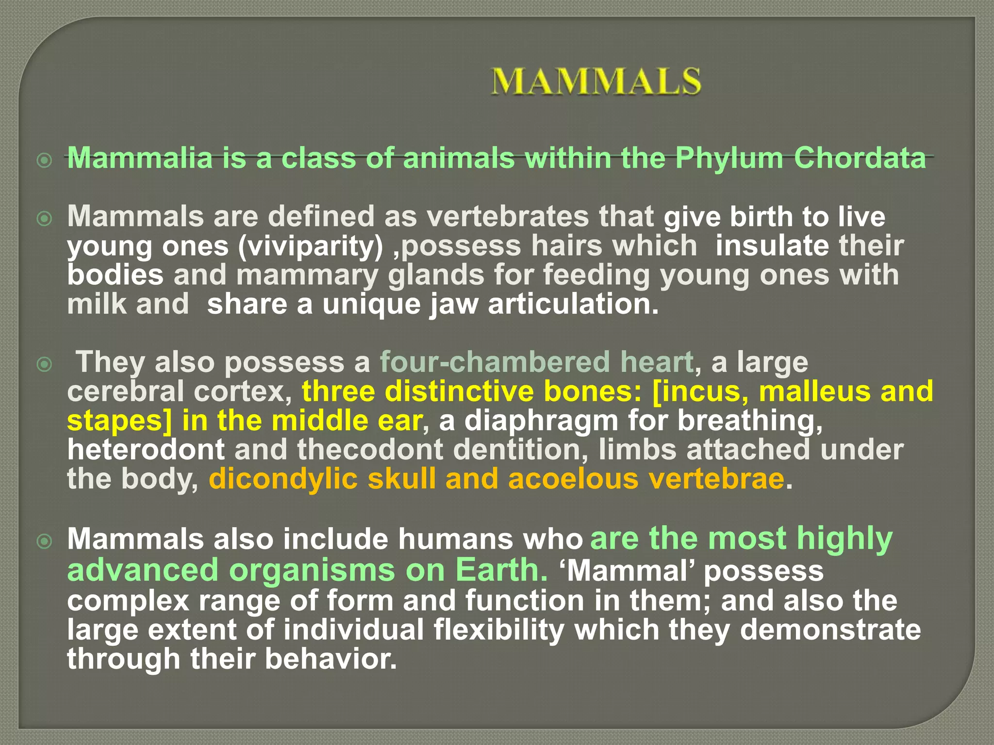 CLASSIFICATION OF MAMMALS | PPTX