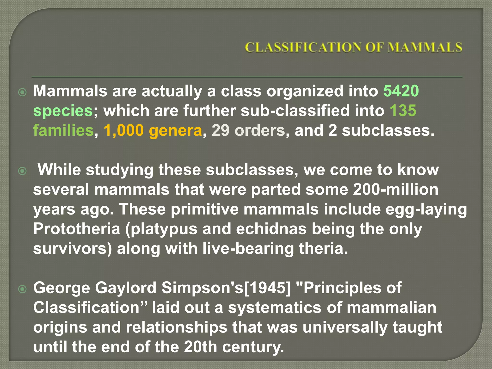 CLASSIFICATION OF MAMMALS | PPTX