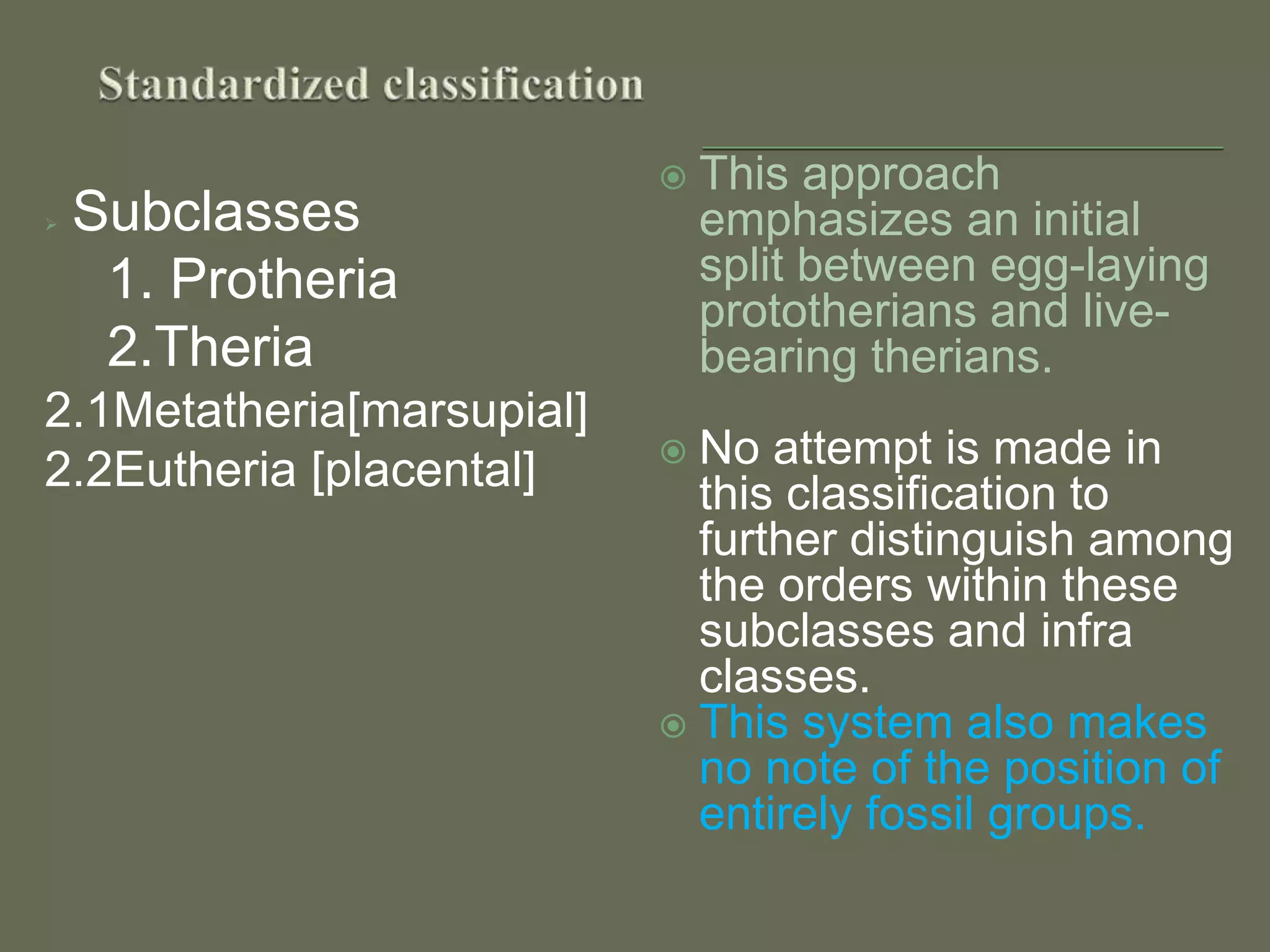 CLASSIFICATION OF MAMMALS | PPTX