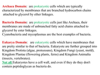 Classification microorganism | PPTX