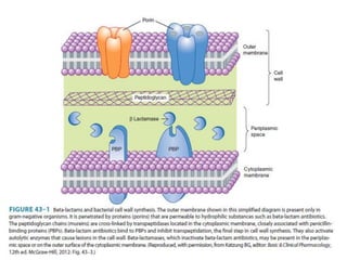 Classification & MOA of Antimicrobials.pdf
