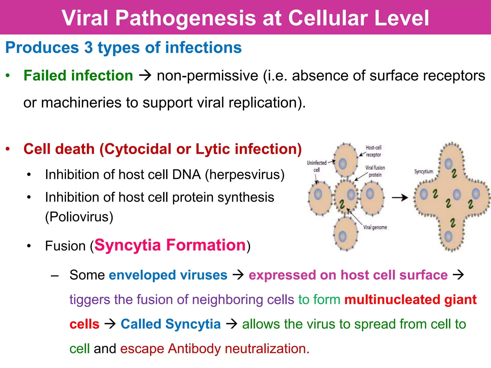 Introduction, Classification, Morphology and Methods for the detection of Viruses.ppt