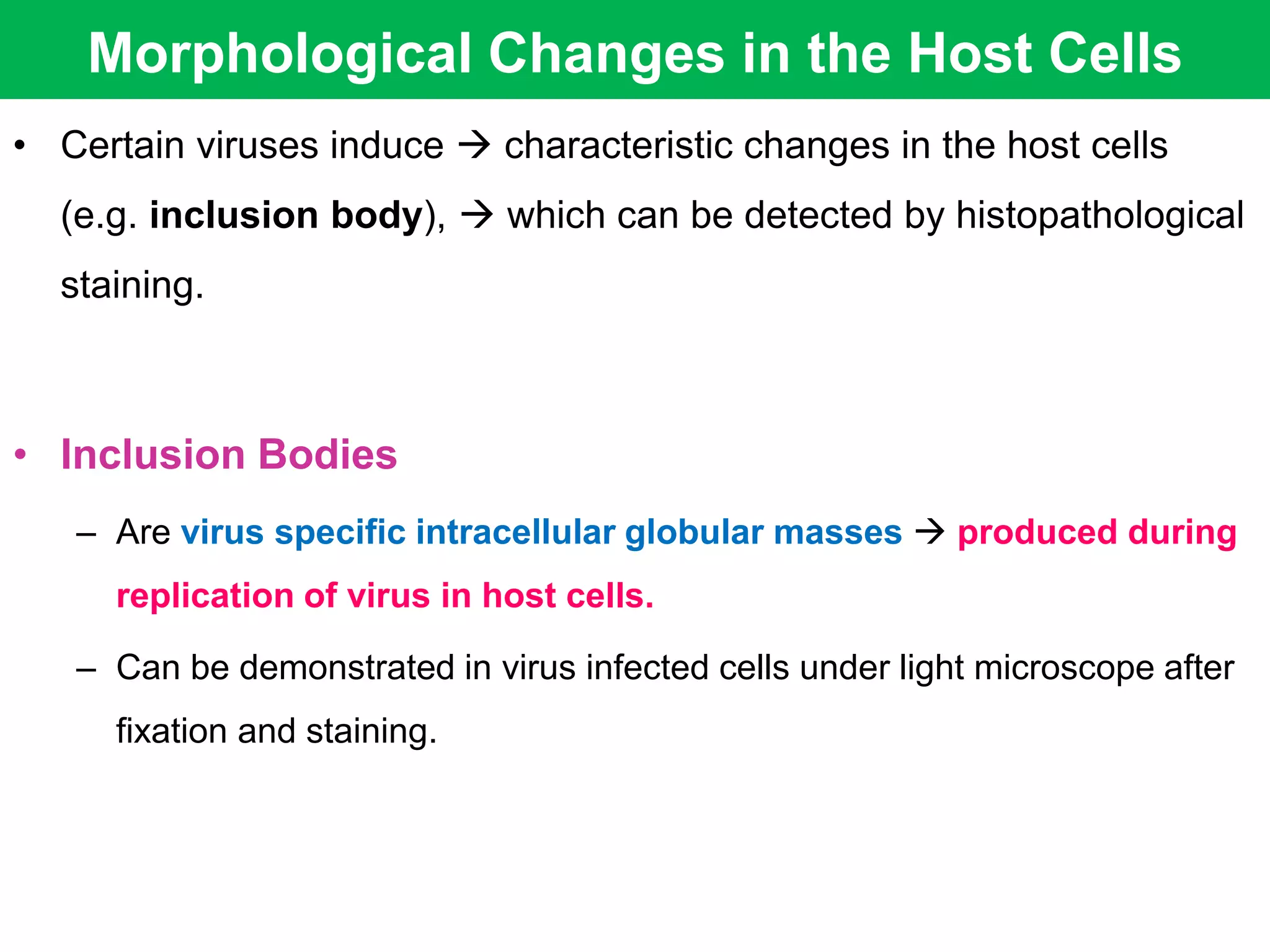 Introduction, Classification, Morphology and Methods for the detection ...