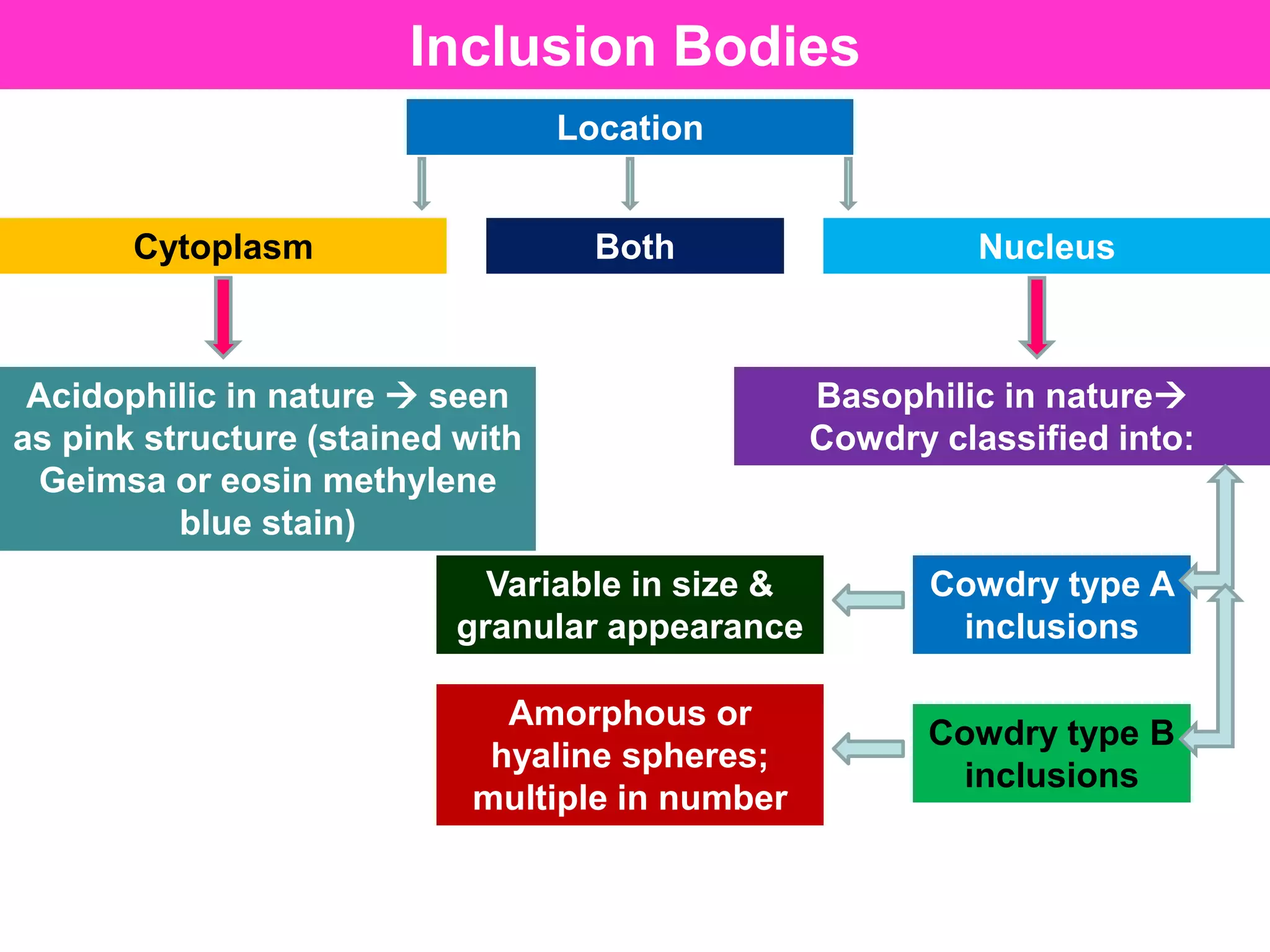 Introduction, Classification, Morphology and Methods for the detection ...
