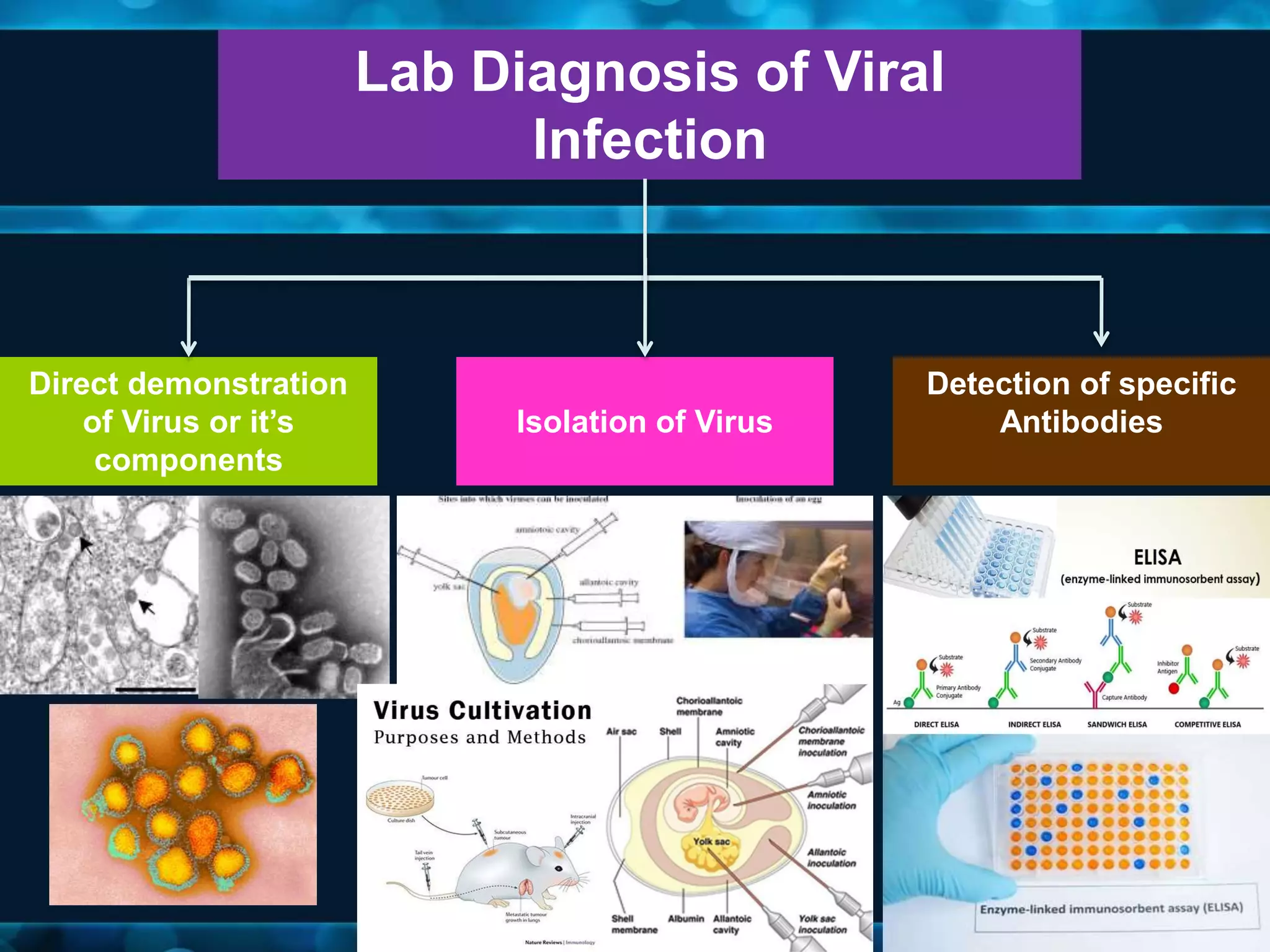 Introduction, Classification, Morphology and Methods for the detection of Viruses.ppt