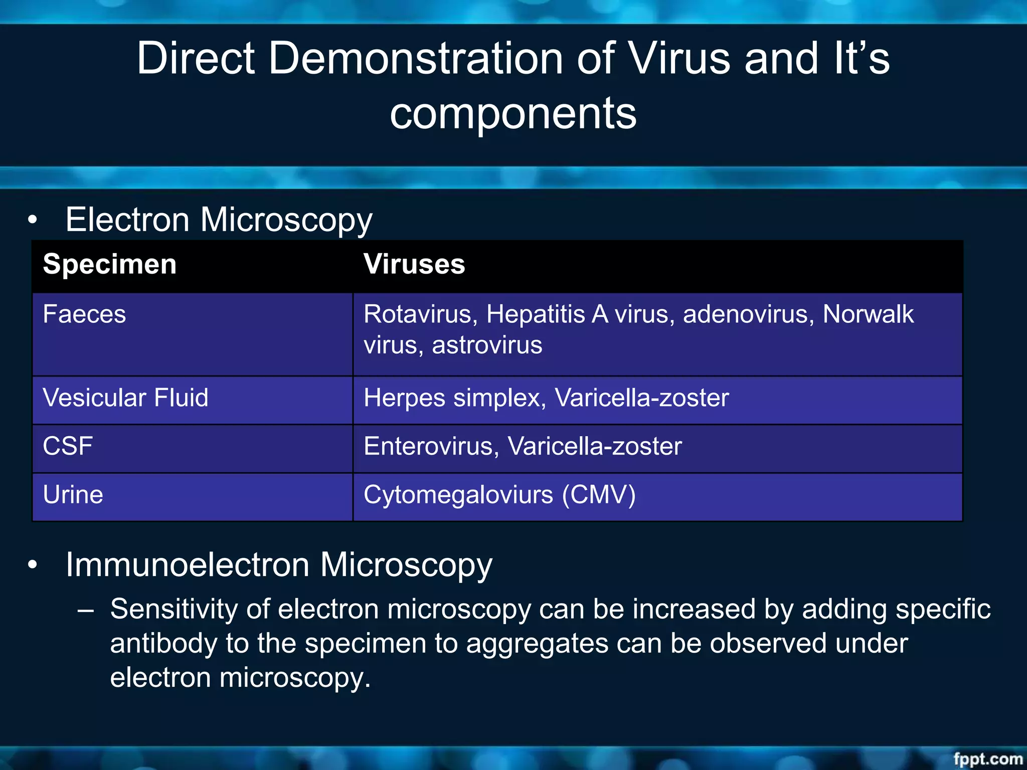 Introduction, Classification, Morphology and Methods for the detection of Viruses.ppt