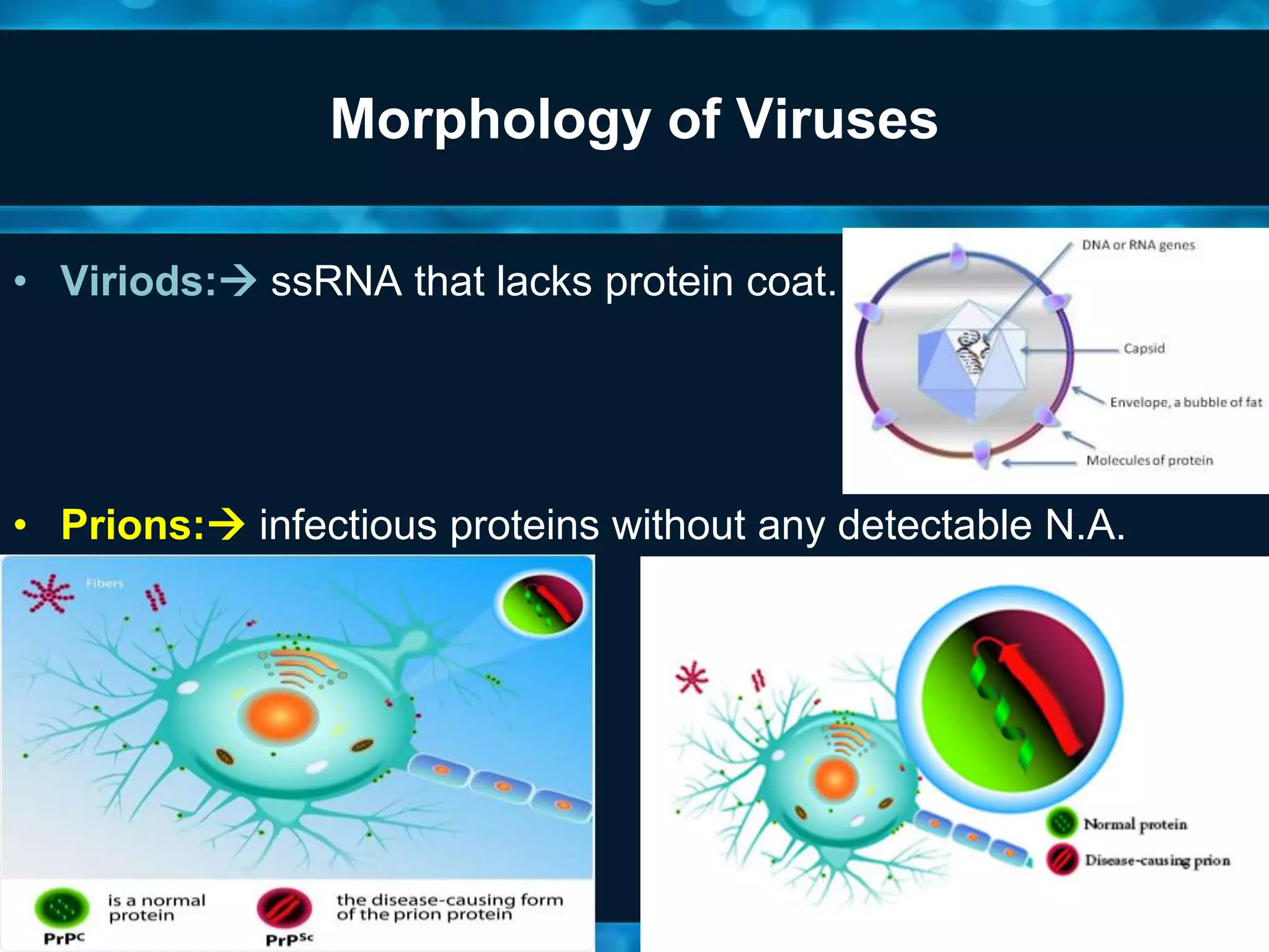 Introduction, Classification, Morphology and Methods for the detection ...