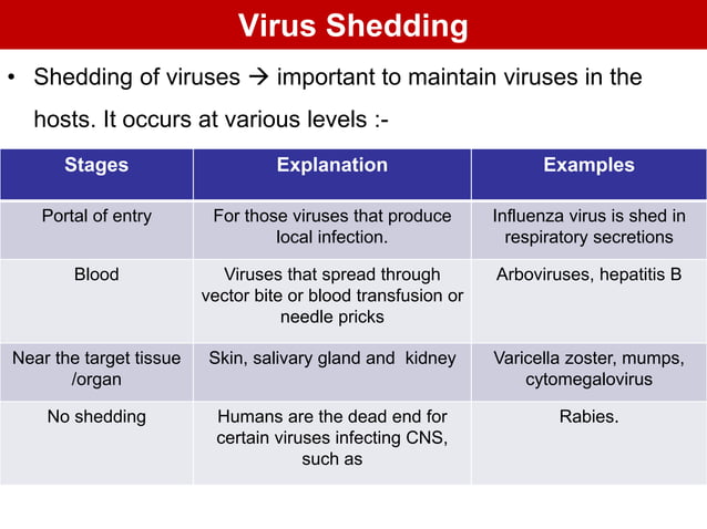 Introduction, Classification, Morphology and Methods for the detection of Viruses.ppt