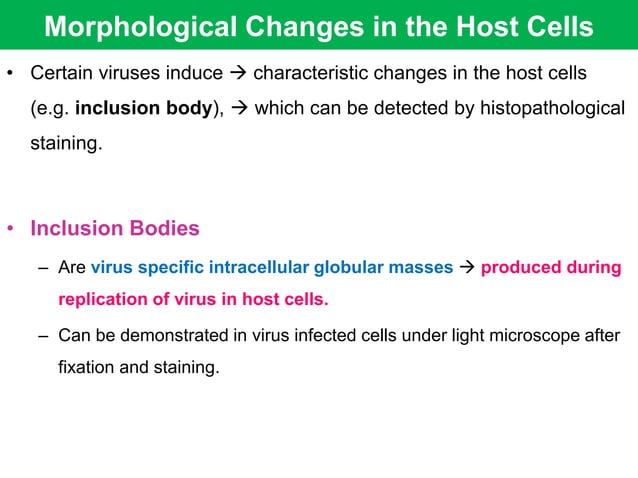 Introduction, Classification, Morphology and Methods for the detection of Viruses.ppt