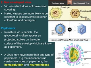 Introduction, Classification, Morphology and Methods for the detection ...