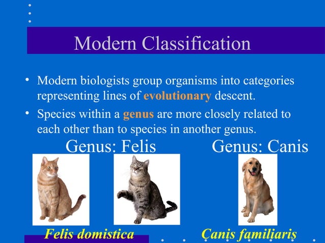 Classification of Living Things | PPT