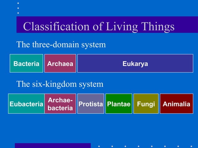 Classification of Living Things | PPT