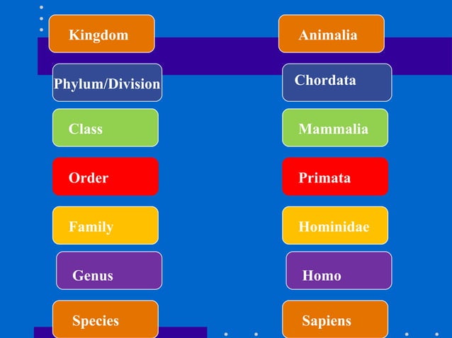 Classification of Living Things | PPT