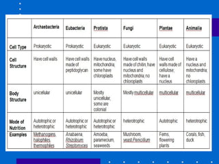 Classification Of Living Things Table