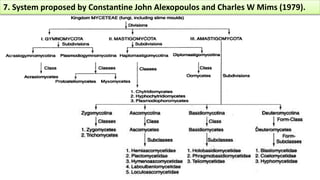 Classification n evolution of fungi | PPTX