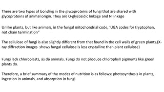 Classification n evolution of fungi | PPTX