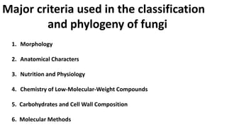 Classification n evolution of fungi | PPTX
