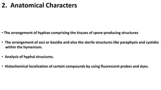Classification n evolution of fungi | PPTX
