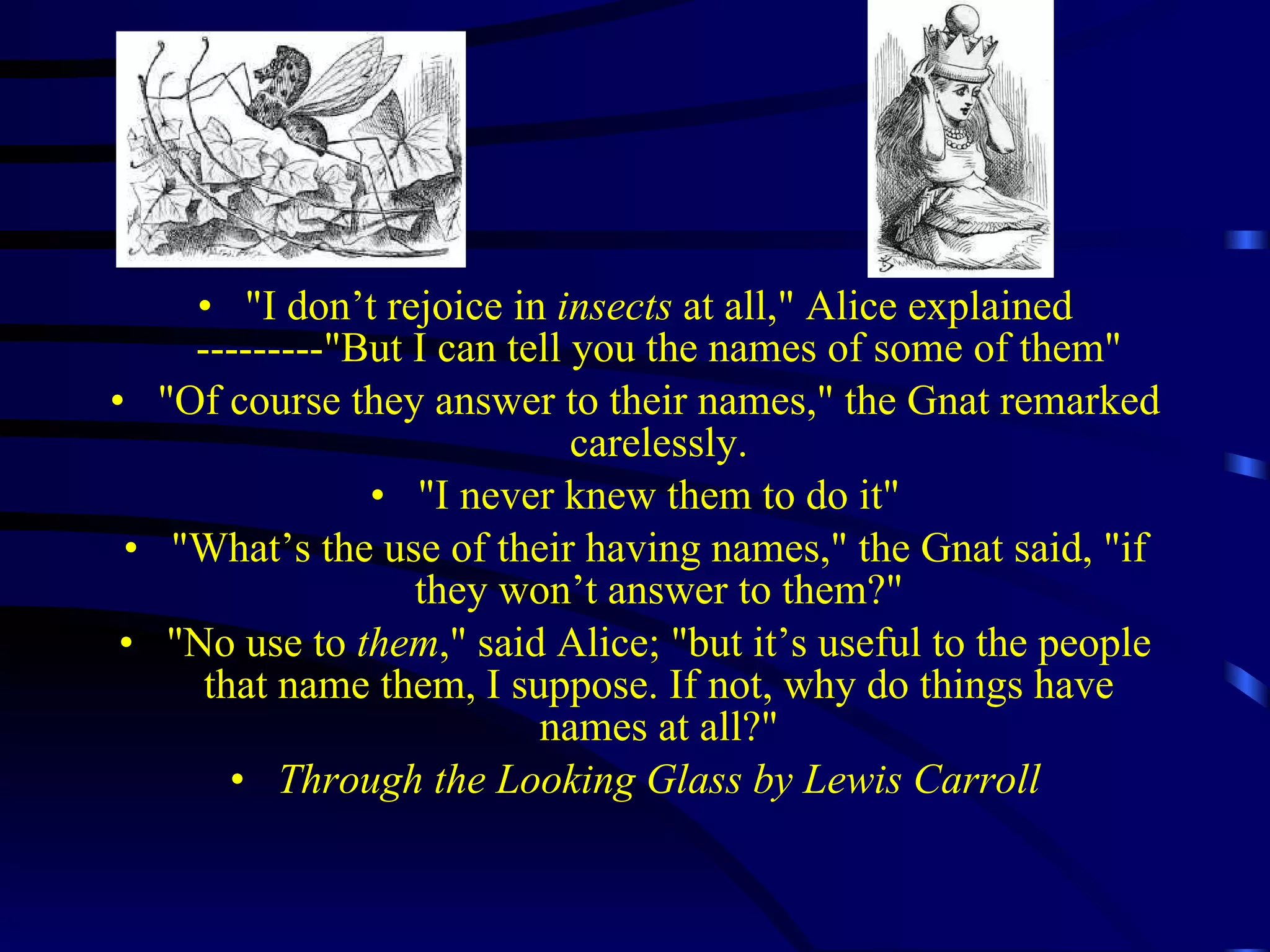 Classificationnomenclature | PPT