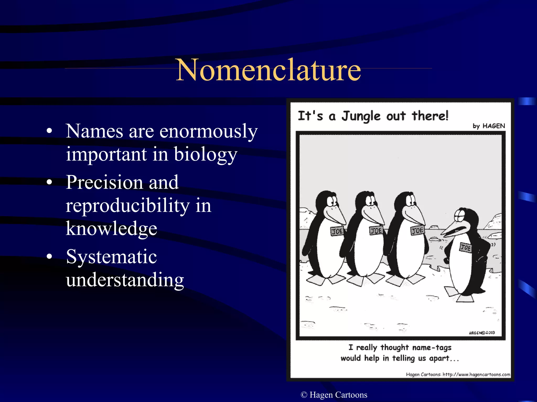 Classificationnomenclature | PPT