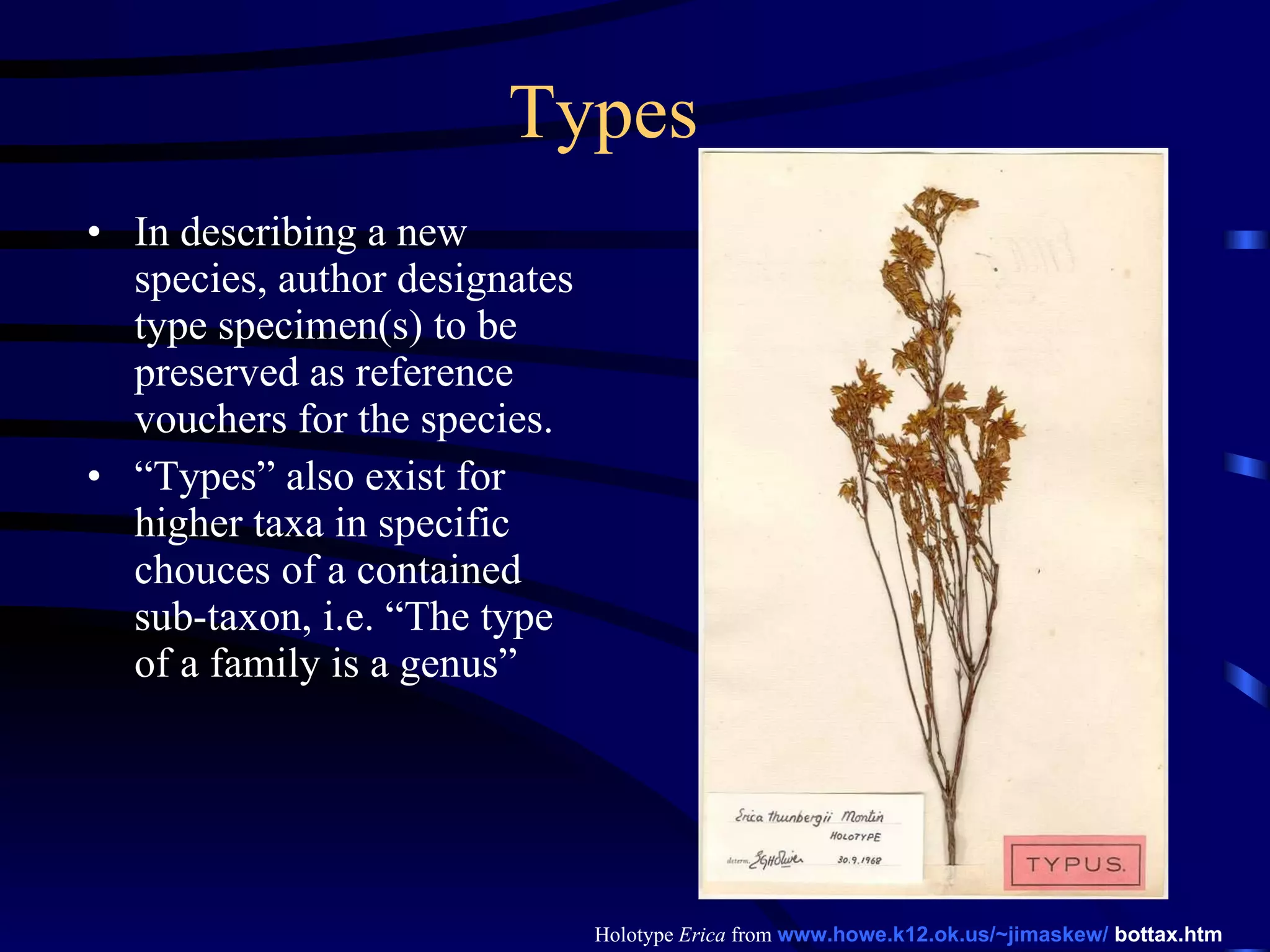 Classificationnomenclature | PPT