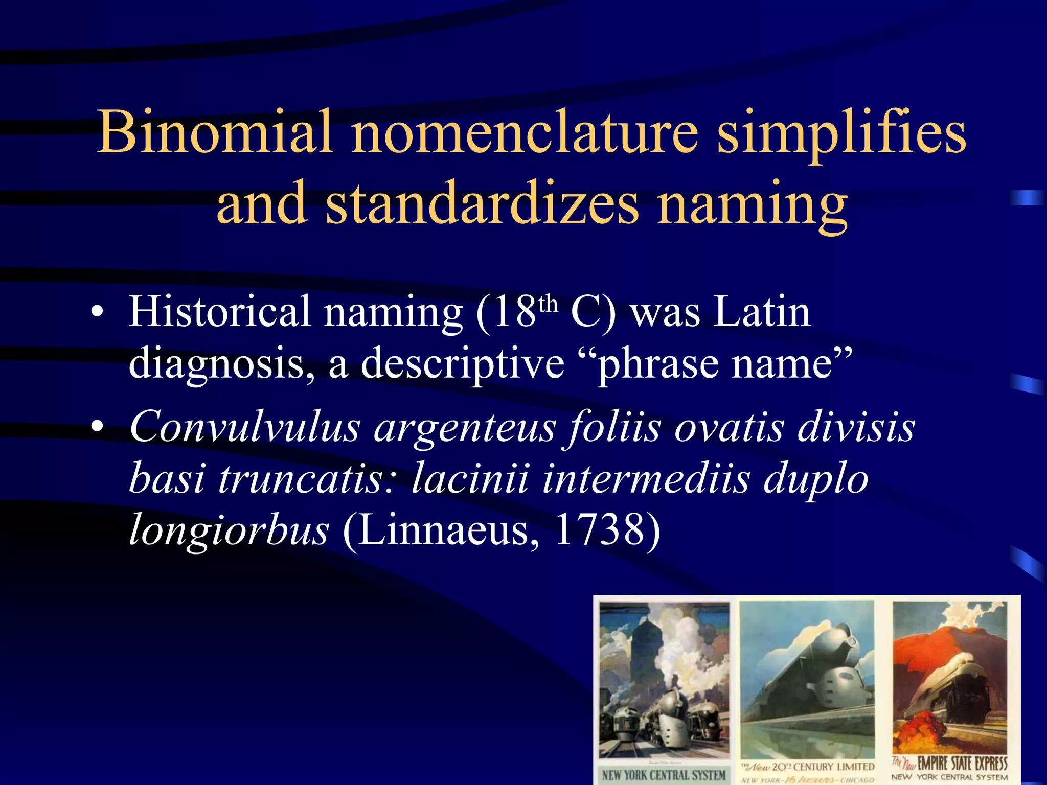 Classificationnomenclature | PPT