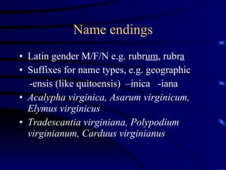 Classificationnomenclature | PPT