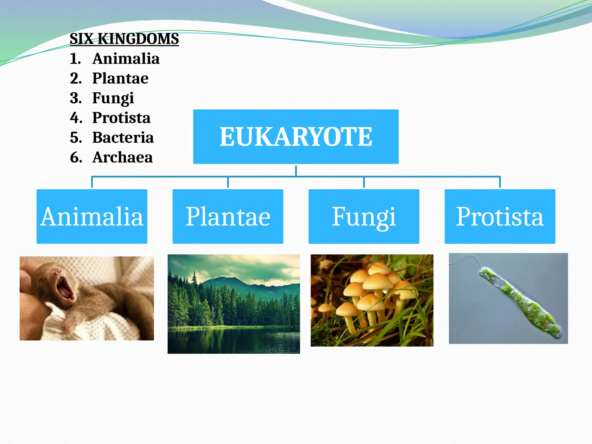 DNA classification and compar_notes.pptx