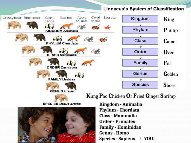 DNA classification and compar_notes.pptx