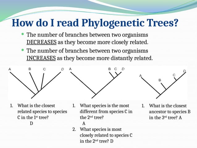 DNA classification and compar_notes.pptx