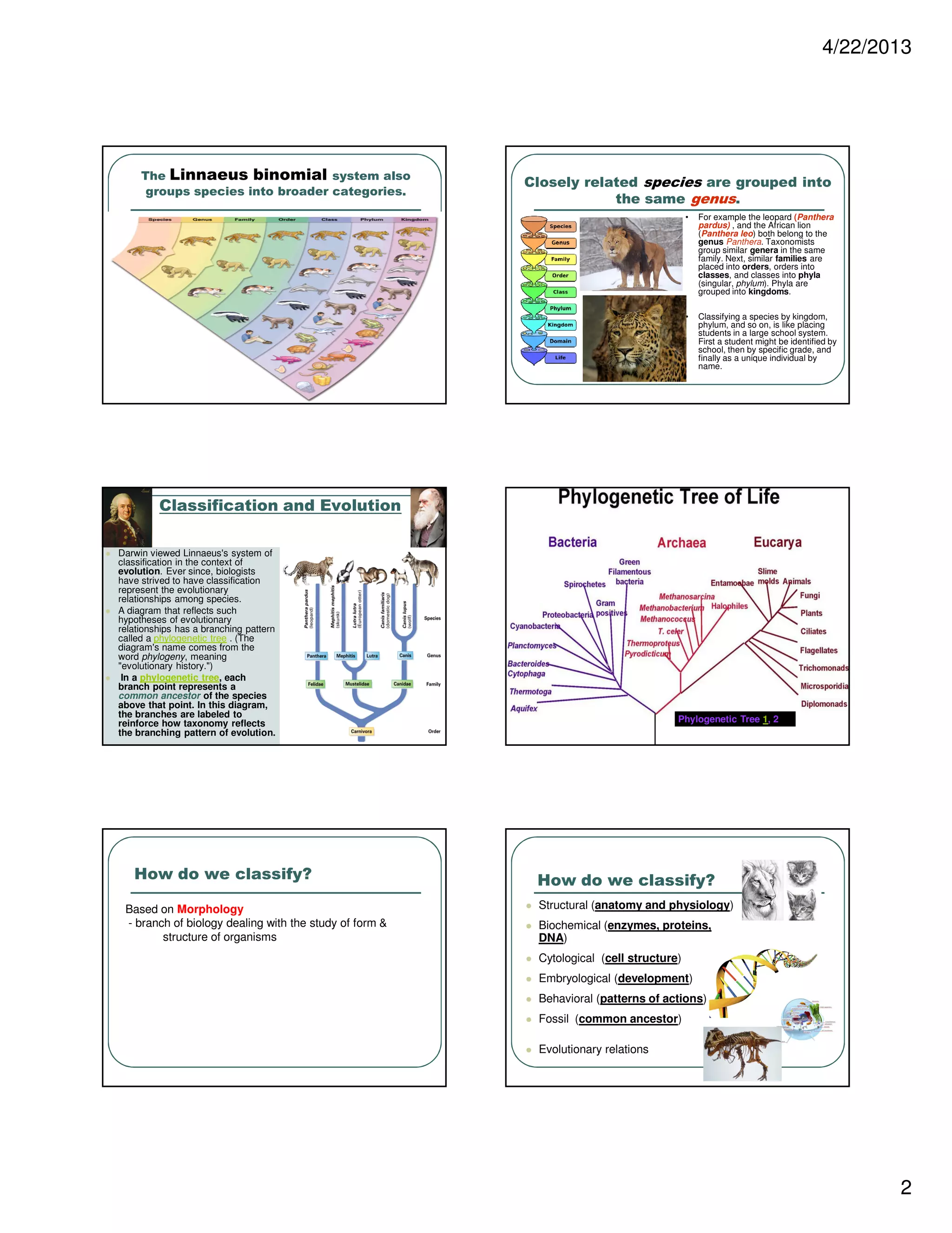 Classification notes for website | PDF