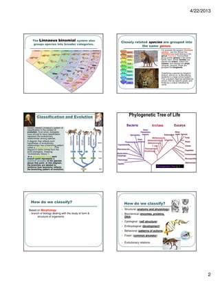 Classification notes for website | PDF